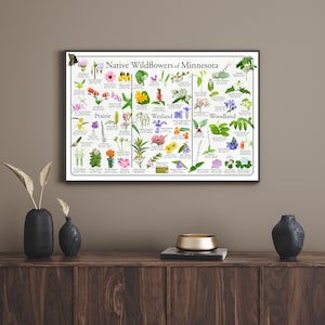 Native Wildflowers of Minnesota Flower Identification Poster Divided ...