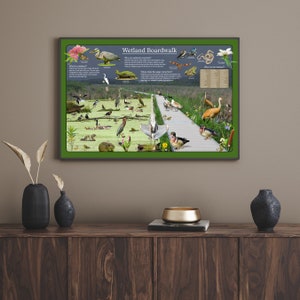 Wetland Boardwalk Educational Nature Poster/fun Kids Wildlife Poster ...