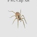 Creepy Crawly Spiders Clip Art set of 5 PNG Clipart With Transparent ...