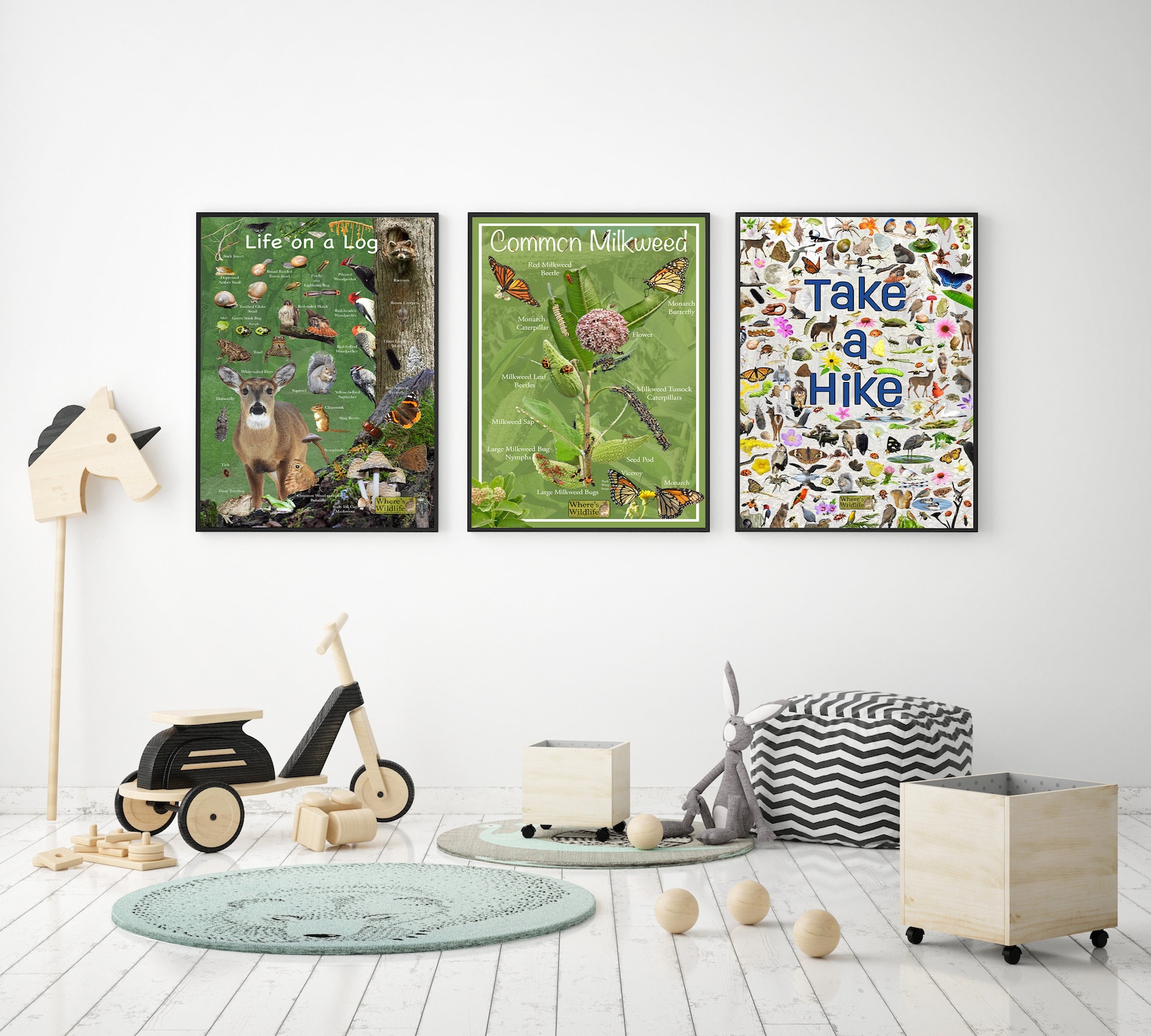 Common Milkweed Nature Poster / Fun Educational Poster Plant - Etsy