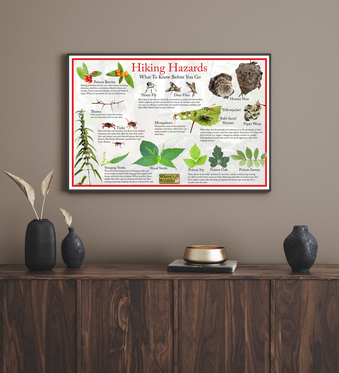 Hiking Hazards Educational Nature Poster / Identifies Common - Etsy