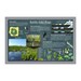 Wetlands Educational Nature Poster / Fun Kids Wildlife Poster ...