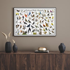 Backyard Birds of Kentucky Bird Identification Poster Divided Into Year ...