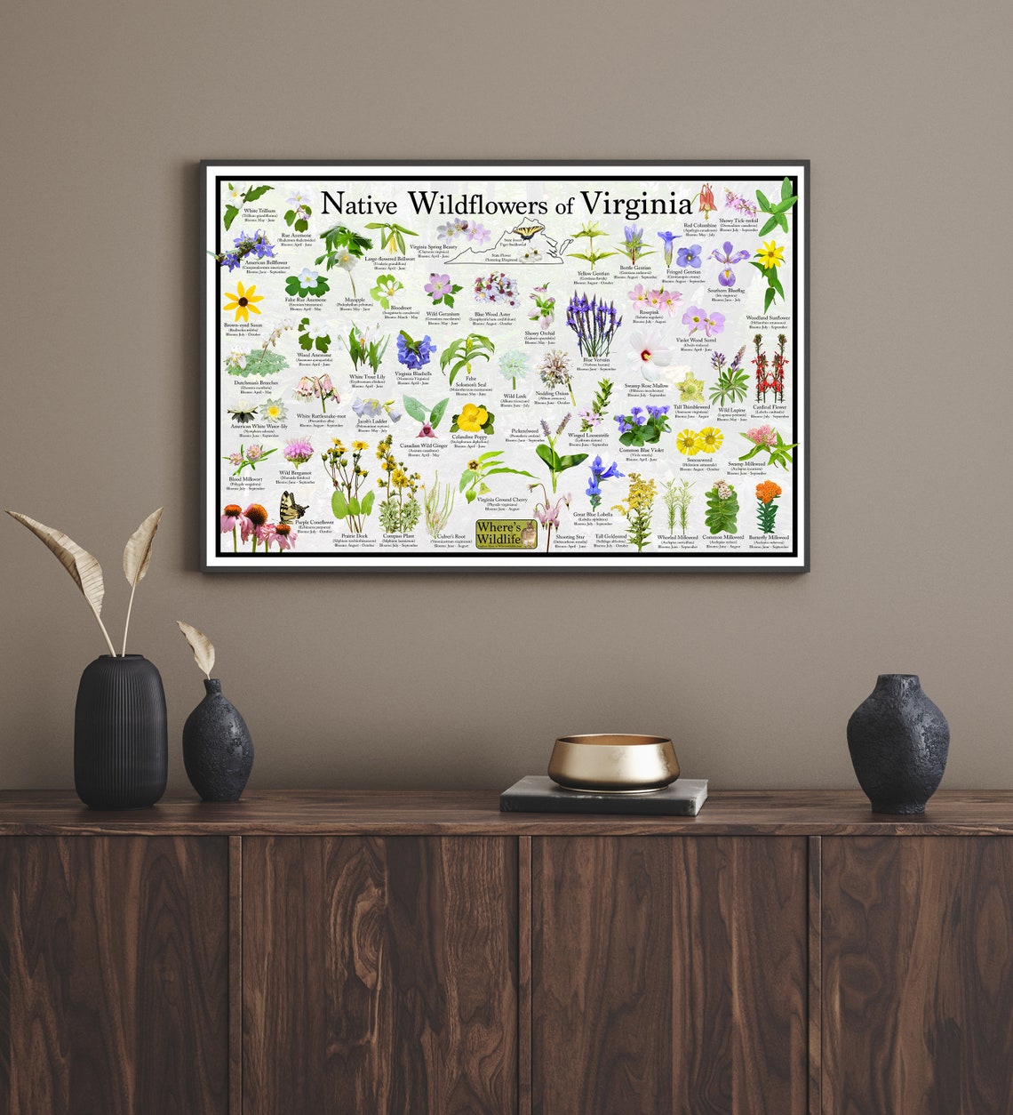 Native Wildflowers of Virginia / State Flower Field Guide - Etsy