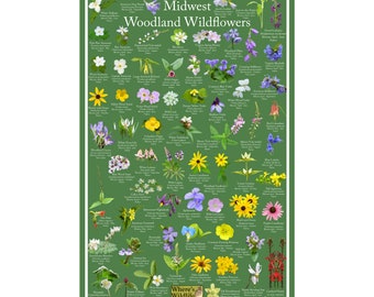 Midwest Wildflowers Poster - Etsy