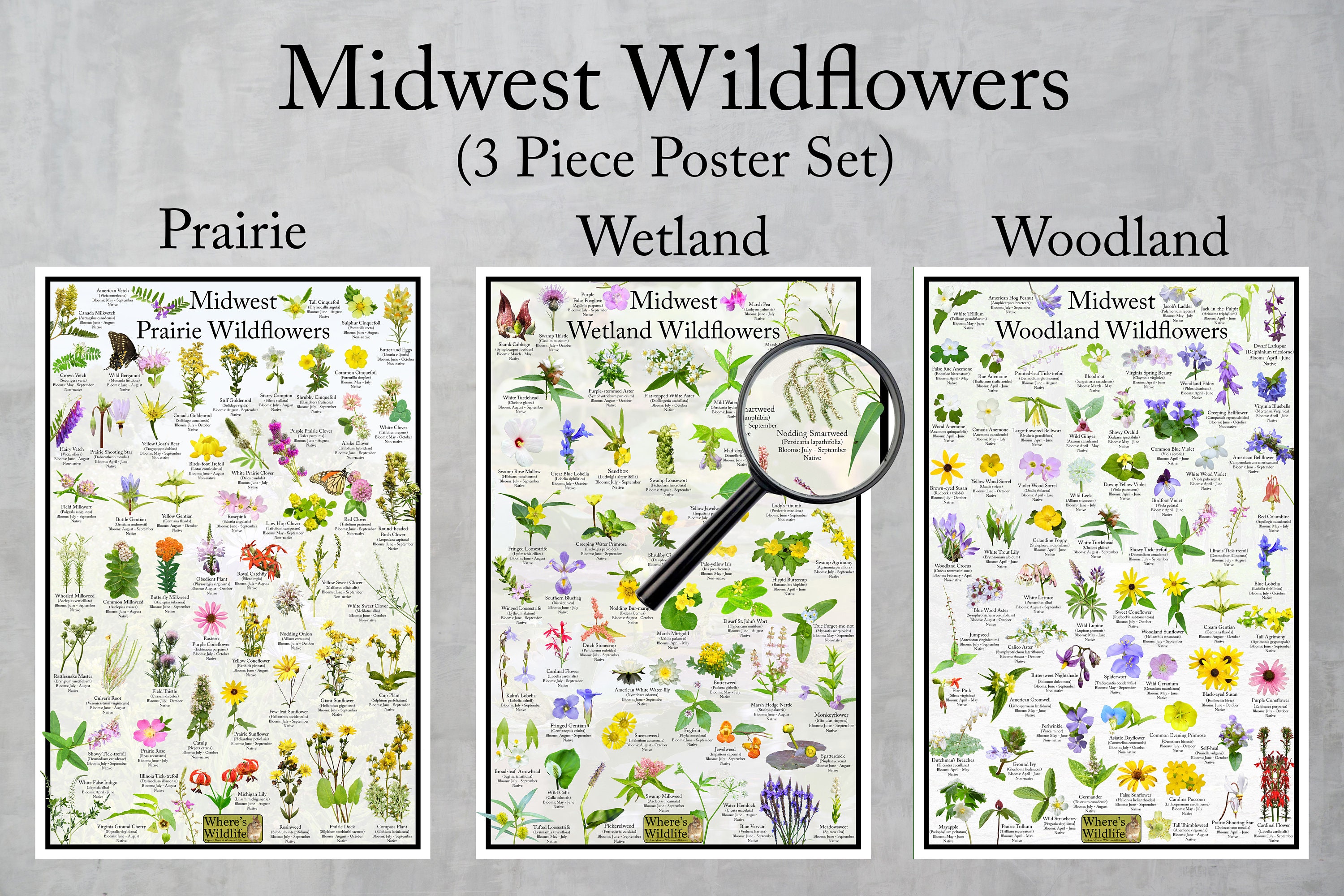 Midwest Wildflower Poster Pack Set of 3 / Includes 1 Prairie - Etsy