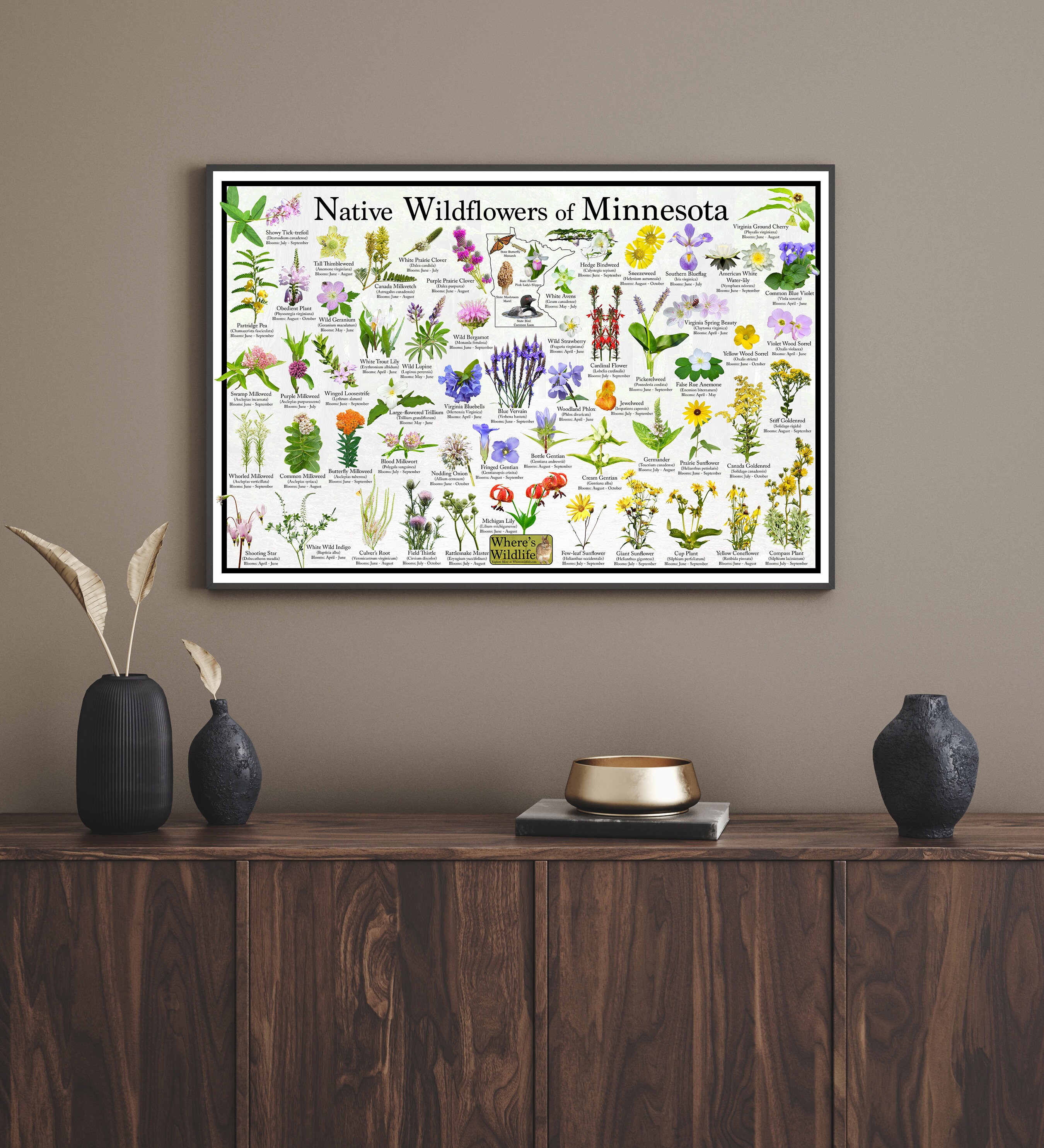 Native Wildflowers of Minnesota / State Flower Field Guide Providing ...