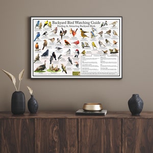 Backyard Bird Watching and Feeding Guide Nature Poster / Identifies ...