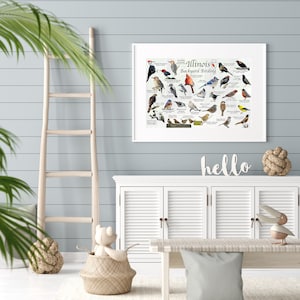 Birds of Illinois Backyard Birding Identification Picture Print/ Great ...