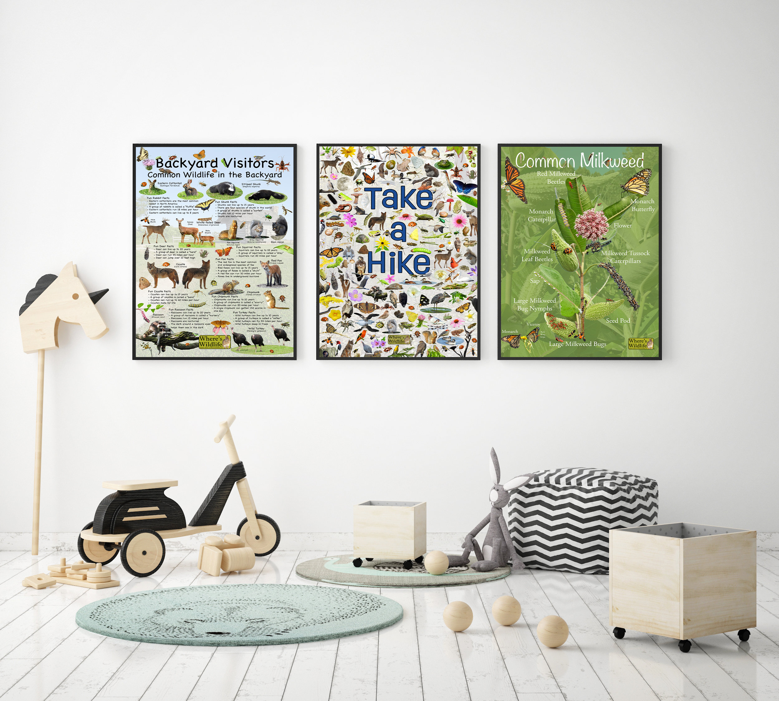 Common Milkweed Poster With Fun & Educational Pictures. Insect ...