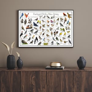 Backyard Birds of New Jersey Bird Identification Poster Divided Into ...