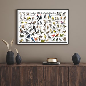 Backyard Birds of South Carolina Bird Identification Poster Divided by ...