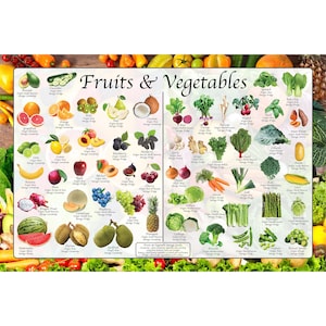 Fruits & Vegetables Identification and Storage Poster / Culinary Arts ...
