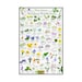 Native Wildflowers of Iowa Flower Identification Poster Divided Into ...