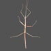 Walking Stick Bugs Clip Art (set of 5) PNG Clipart With Transparent ...