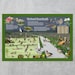 Wetland Boardwalk Educational Nature Poster/fun Kids Wildlife Poster ...