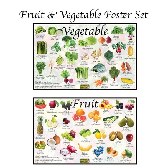 Fruit & Vegetable Chart Poster Pack set of 2 / Includes 1 | Etsy
