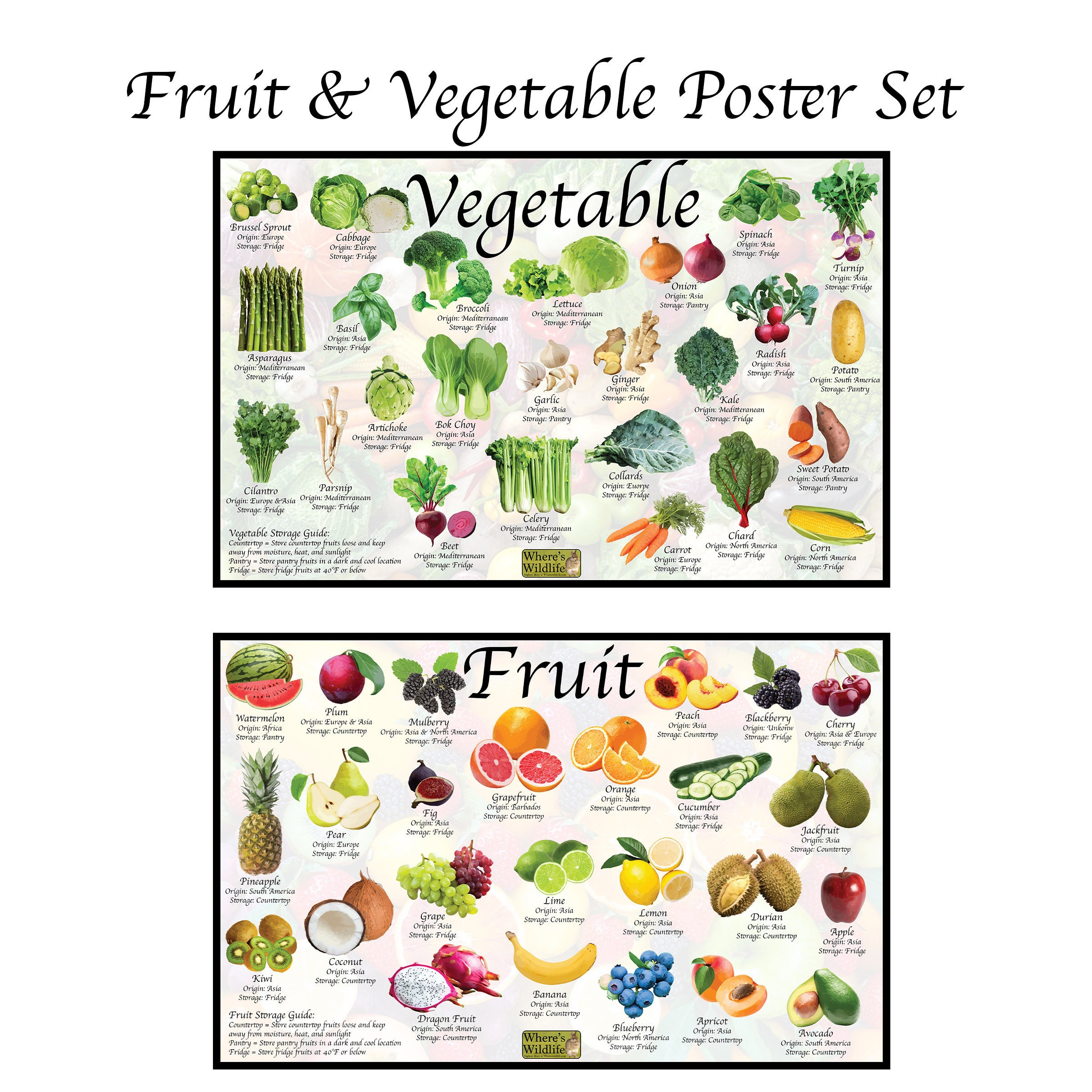 Fruit & Vegetable Chart Poster Pack set of 2 / Includes 1 | Etsy UK