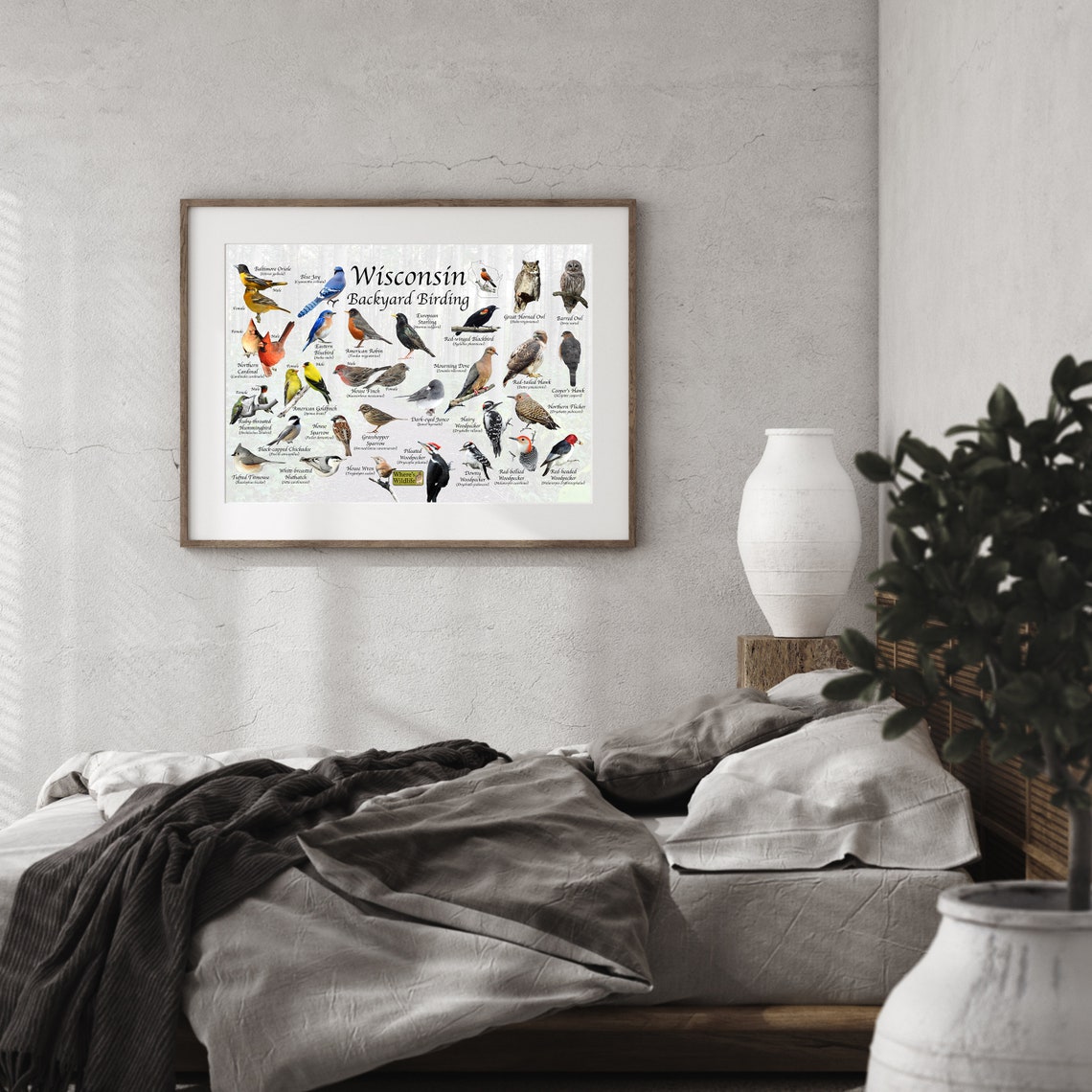 Birds of Wisconsin Backyard Birding Identification Picture Print ...