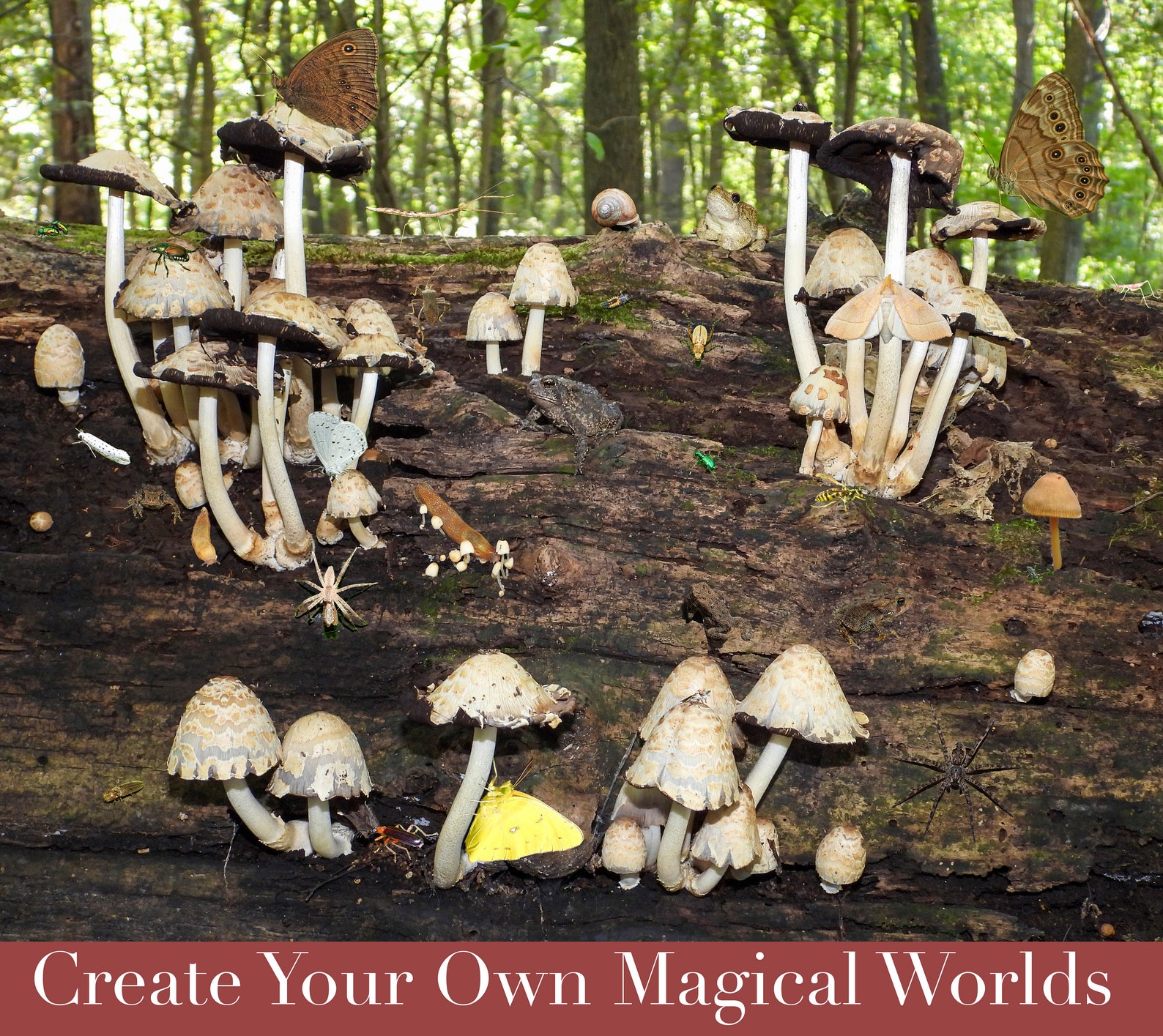 Creepy Crawly Spiders Clip Art set of 5 PNG Clipart With - Etsy