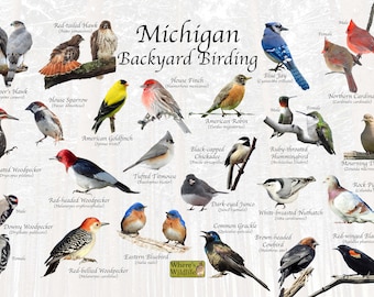 Michigan Printable Bird Field Guide - Etsy