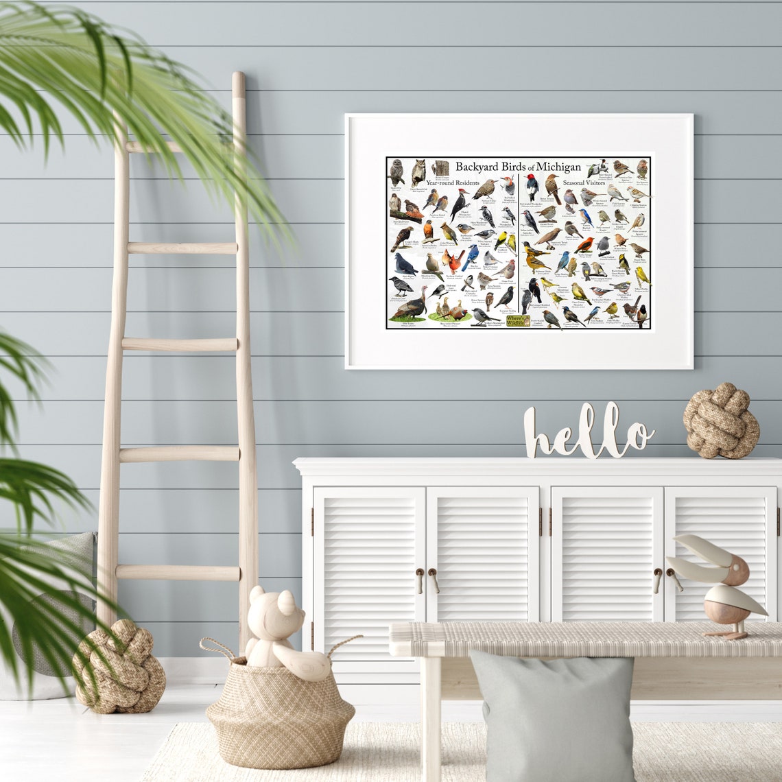 Backyard Birds of Michigan Bird Identification Poster Divided Into Year ...