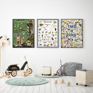 Insects Field Guide Educational Nature Print / Insect ID Collection ...