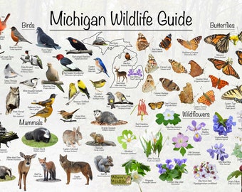 Michigan Wildlife - Etsy