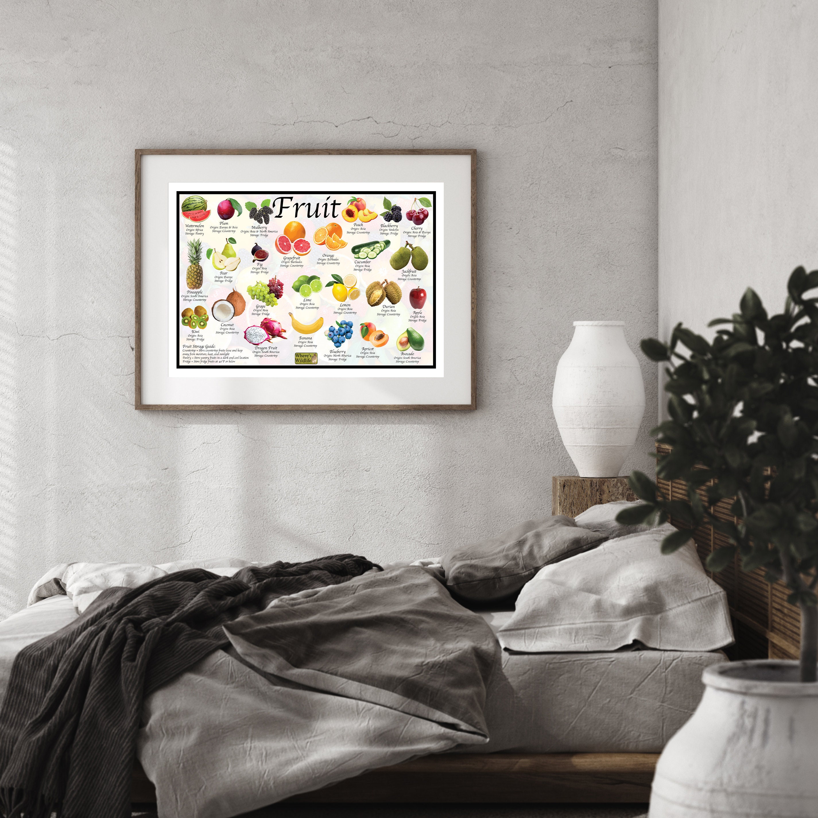 Fruit Chart Poster / Culinary Poster Providing Origin, Best Storage ...
