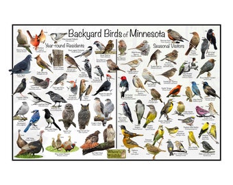 Backyard Birds of Tennessee Bird Identification Poster Divided - Etsy
