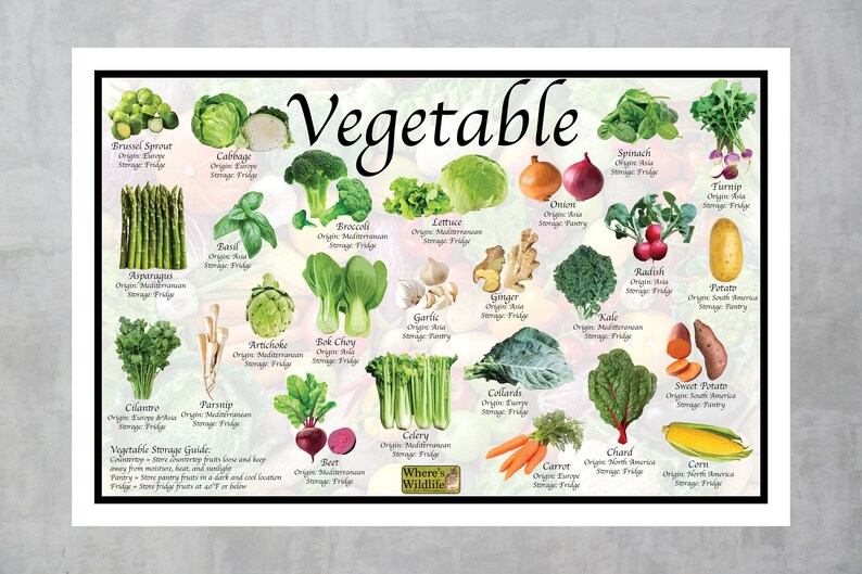 Buy Fruit & Vegetable Chart Poster Pack set of 2 / Includes 1 Online in ...