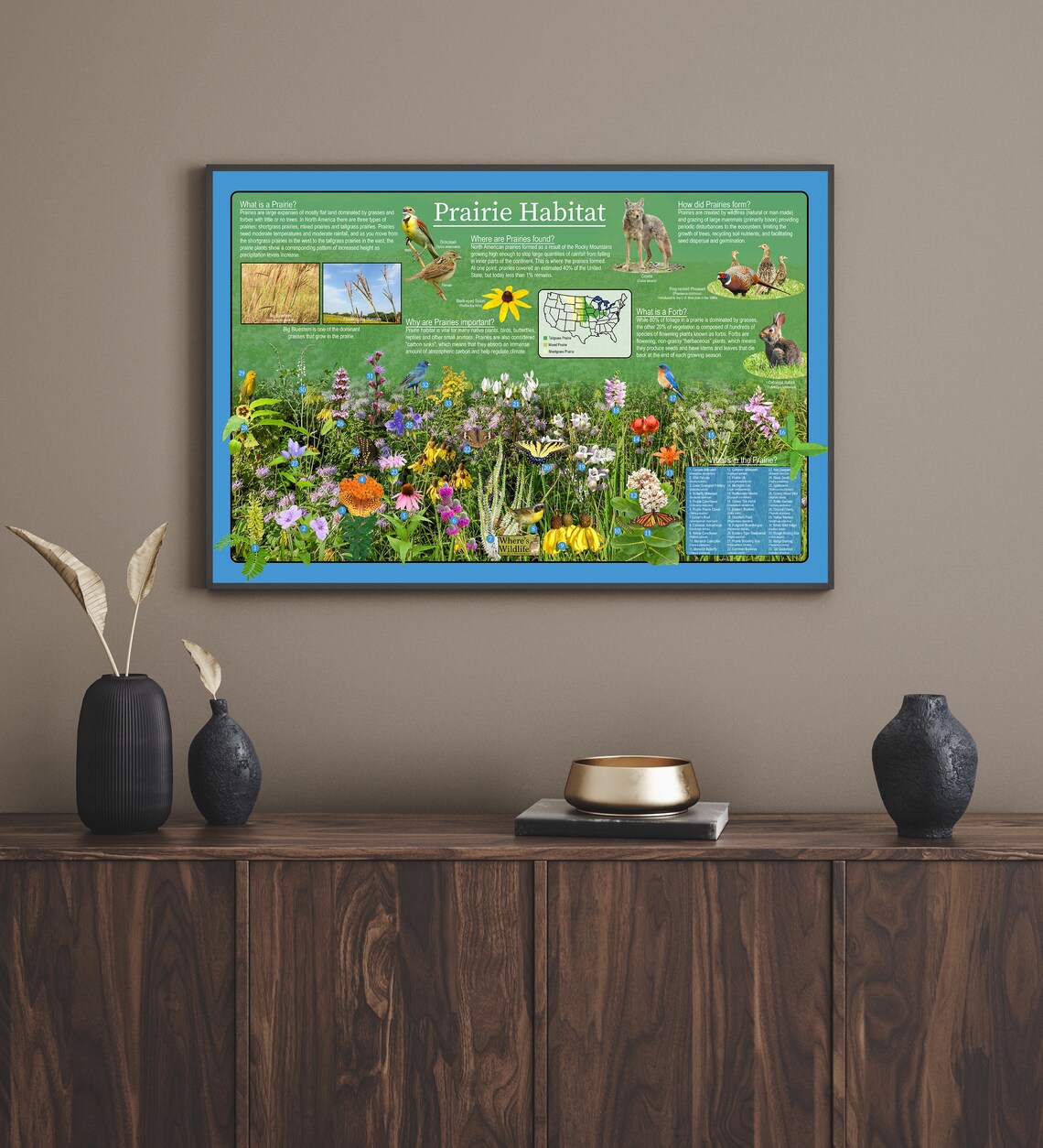 Prairie Habitat Educational Nature Poster / Fun Kids Wildlife Poster ...