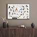 Birds of Illinois Backyard Birding Identification Picture Print/ Great ...