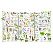 Four Seasons Sorting Mats for Toddlers - Etsy Canada