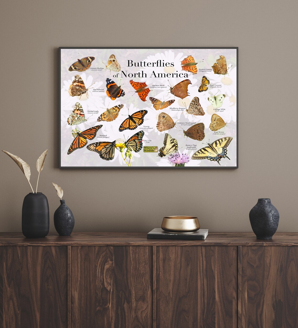 Common Butterflies of North America Field Guide / Butterfly ID | Etsy