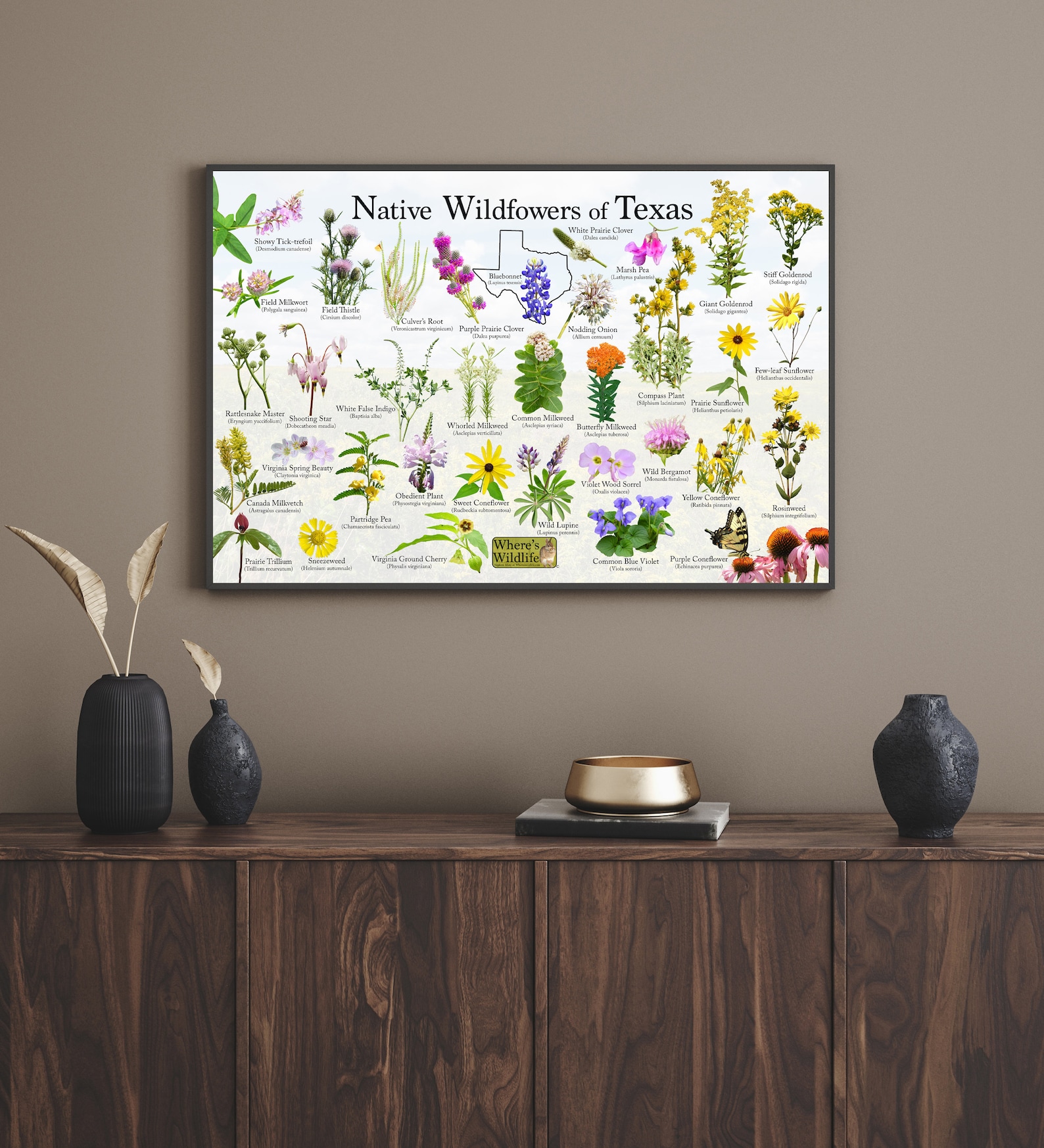 Native Wildflowers of Texas / State Flower Field Guide / Common ...