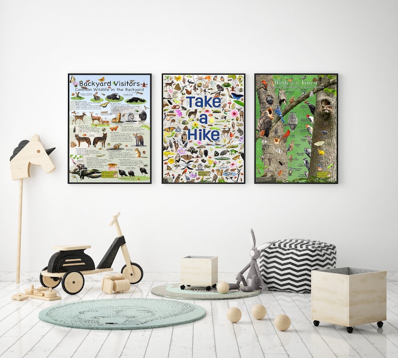 Backyard Visitors Educational Kids Nature Animal Poster Providing Photo ...