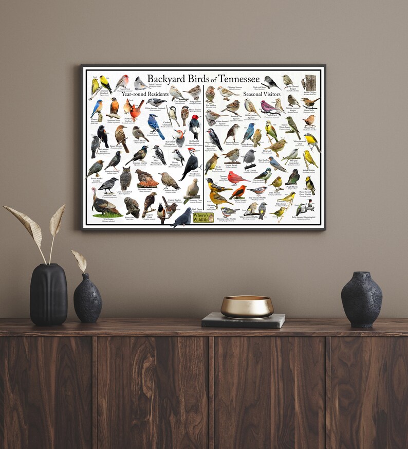 Backyard Birds of Tennessee Bird Identification Poster Divided Into ...