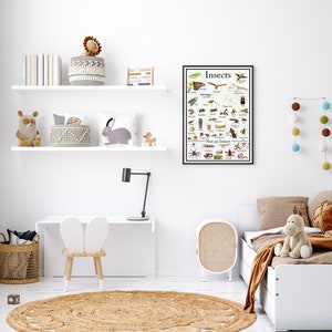Insects Field Guide Educational Nature Print / Insect ID Collection ...