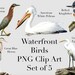 Backyard Birds of the Midwest Region North America Bird Identification ...