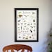 Insects Field Guide Educational Nature Print / Insect ID Collection ...