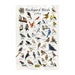 Birds of Ohio Backyard Birding Identification Picture Print/ Field ...