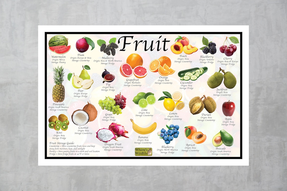 Fruit Chart Poster / Culinary Poster Providing Origin, Best Storage ...