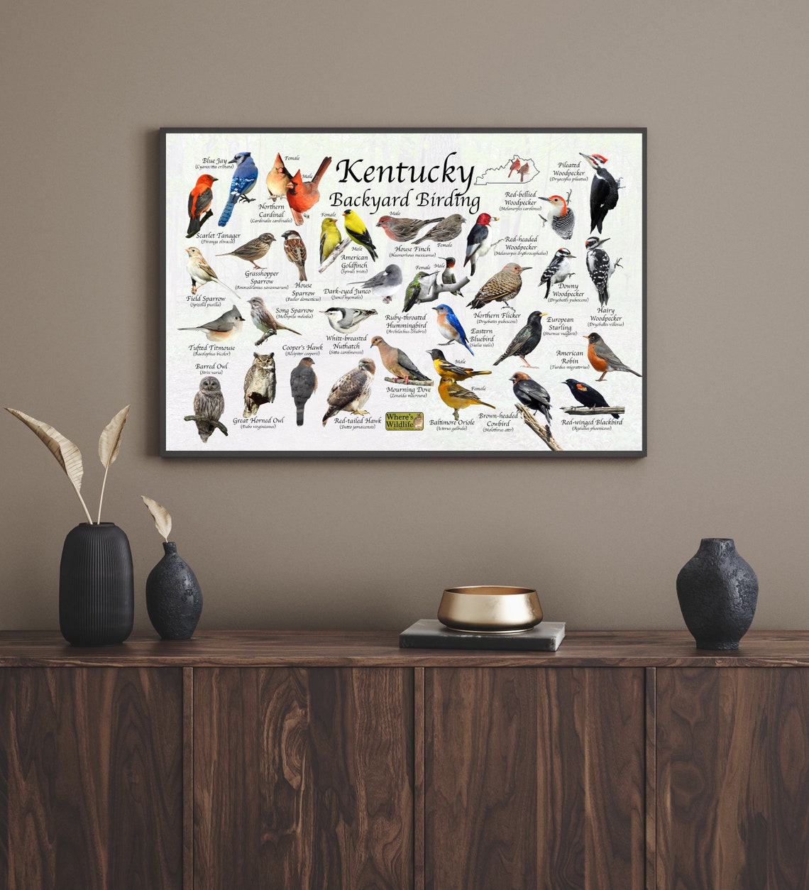 Birds of Kentucky Backyard Birding Identification Picture - Etsy