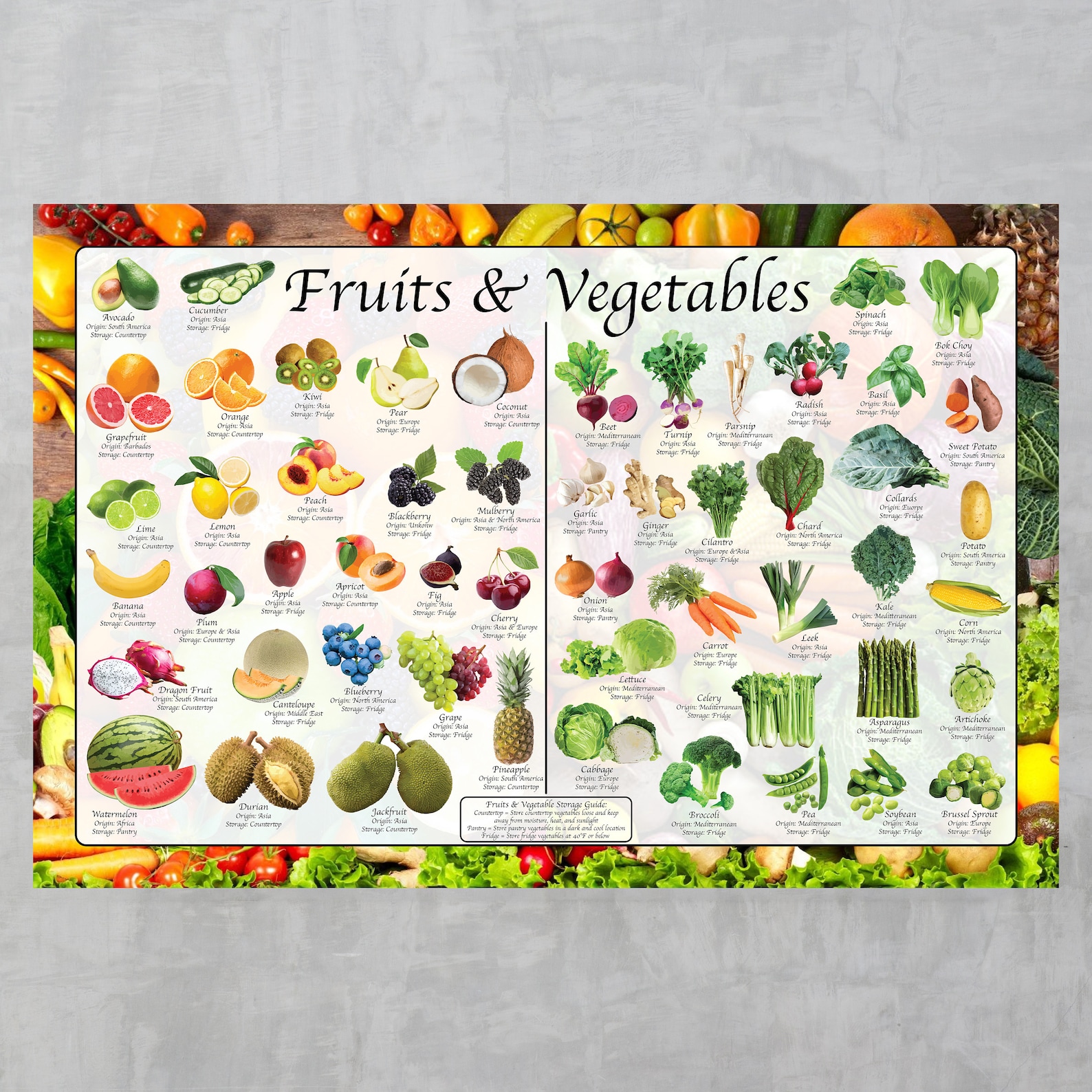 Fruits & Vegetables Identification and Storage Poster / Culinary Arts ...