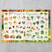 Fruits & Vegetables Identification and Storage Poster / Culinary Arts ...