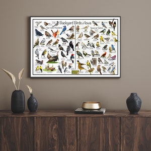 Backyard Birds of Iowa Bird Identification Poster Divided by Year-round ...