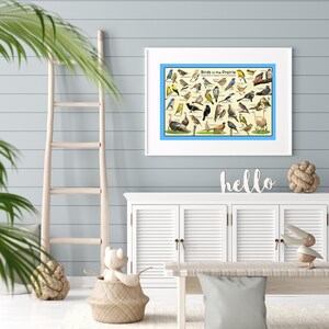 Prairie Birds Poster - Birds in the Prairie Common Birds of Midwest ...