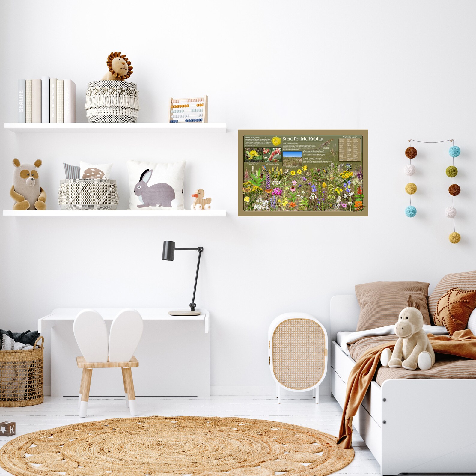 Sand Prairie Habitat Educational Nature Poster / Fun Kids Wildlife ...