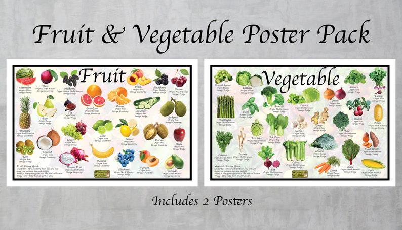 Buy Fruit & Vegetable Chart Poster Pack set of 2 / Includes 1 Online in ...